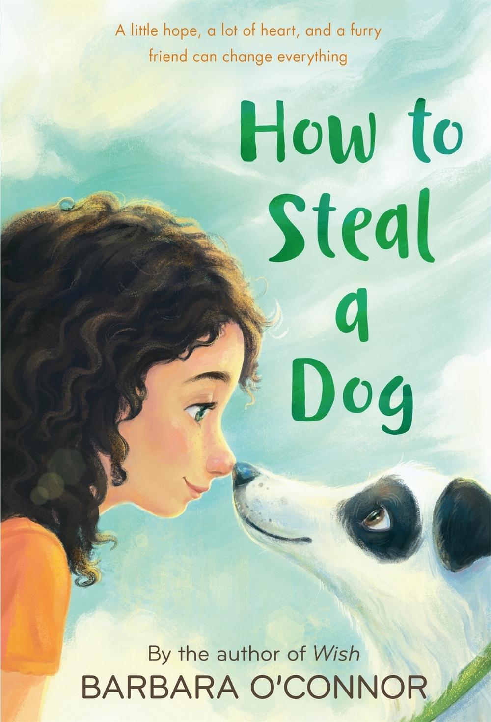 How to Steal a Dog: A Novel by Barbara O'Connor (English) Paperback ...