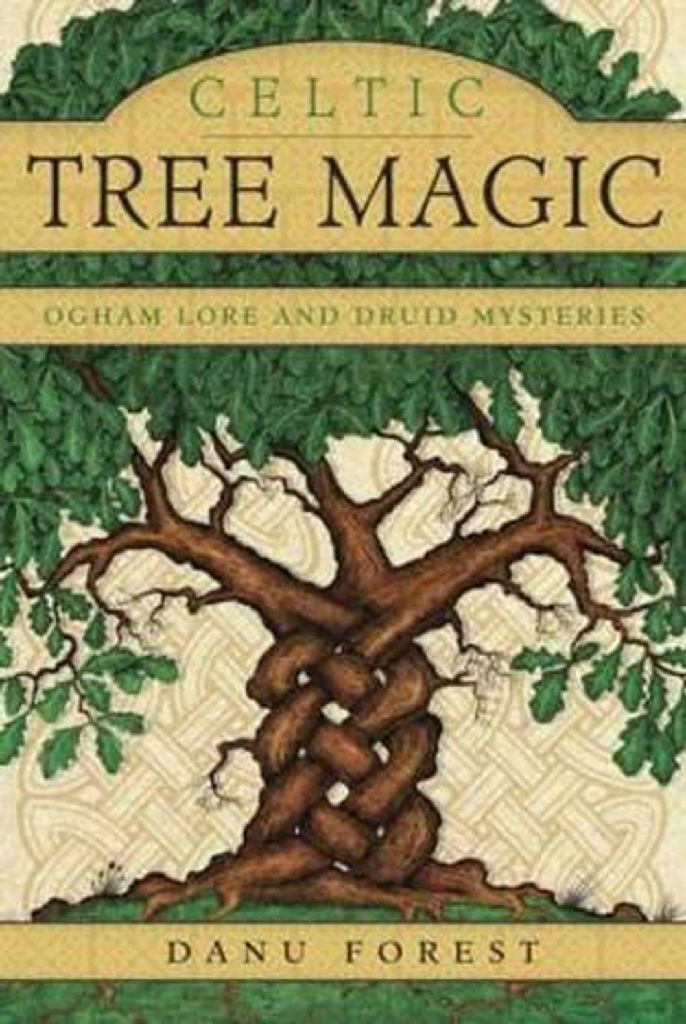 CELTIC TREE MAGIC: Ogham Lore and Druid Mysteries by Danu Forest ...