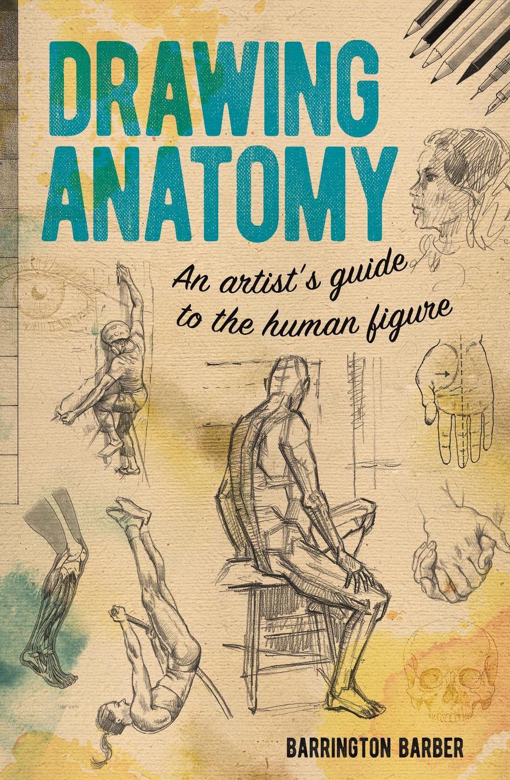 Drawing Anatomy An Artist s Guide To The Human Figure By Barrington Drawing Anatomy An Artist s Guide To The Human Figure By Barrington
