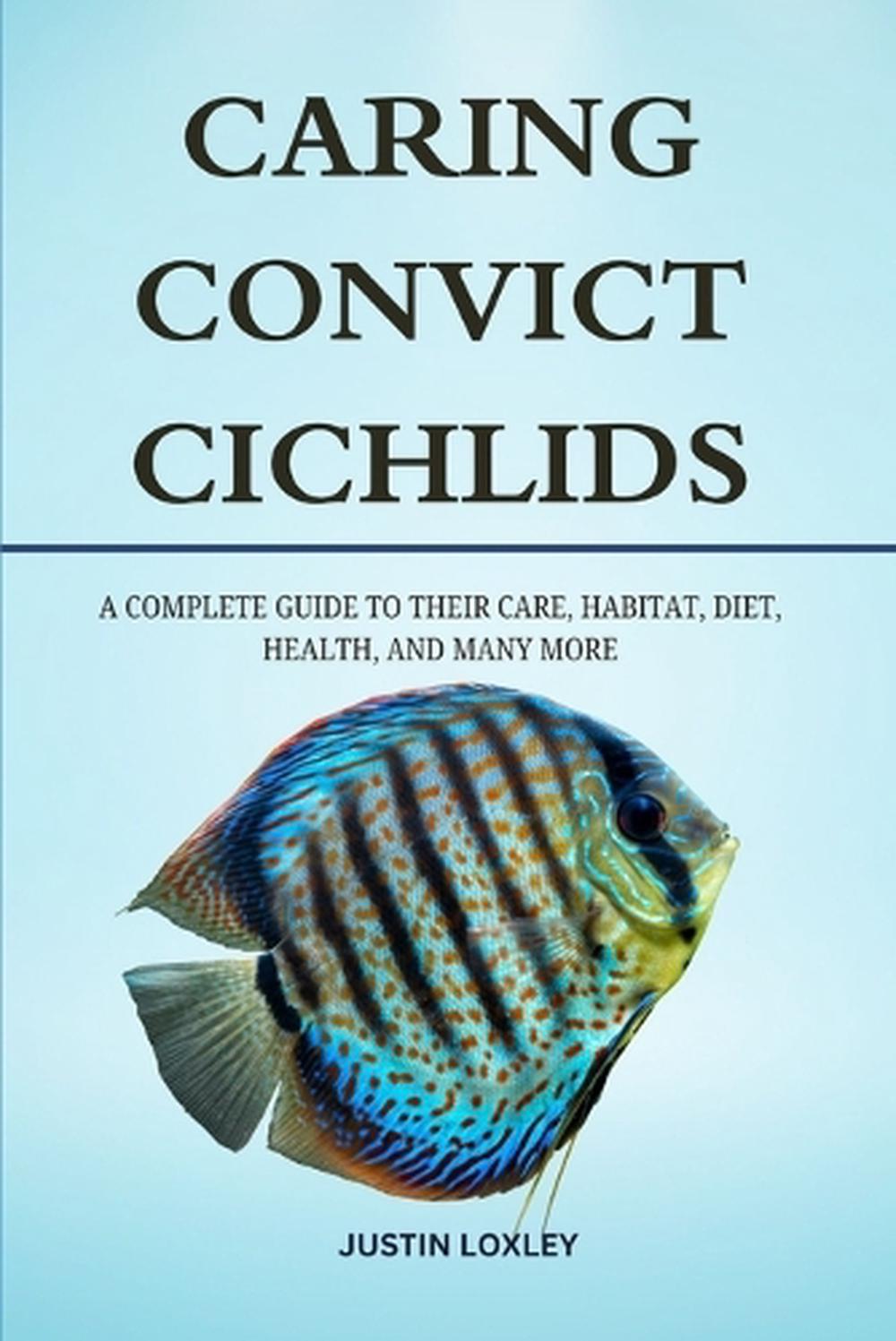 CARING CONVICT CICHLIDS: A Complete Guide to Their Care, Habitat, Diet ...